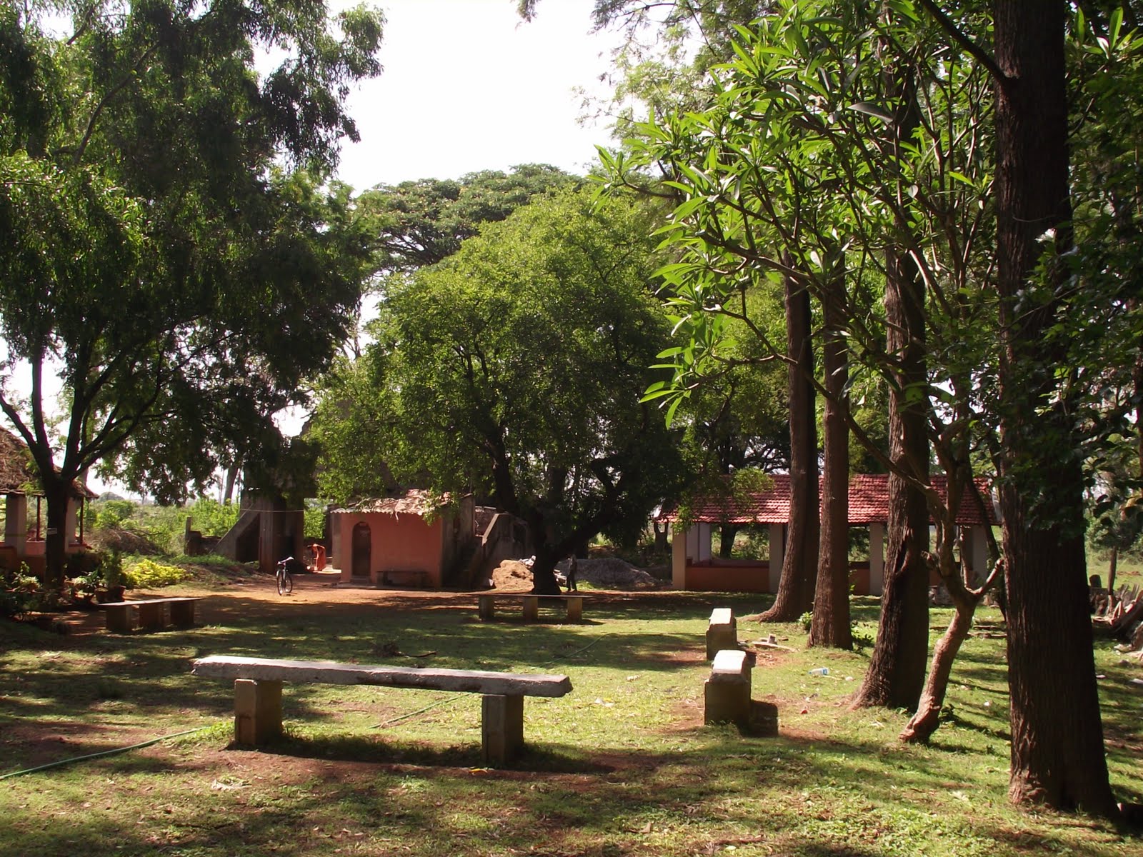 dms college mysore BFA 08 days