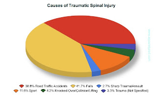 DES514M1: Innovation 3D Design: Traumatic Spinal Cord Injury Facts ...