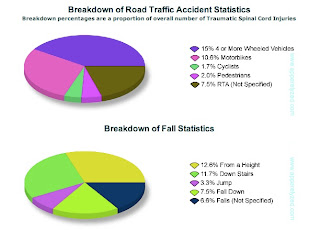 DES514M1: Innovation 3D Design: Traumatic Spinal Cord Injury Facts ...