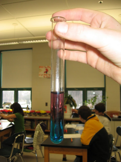Mr. Williams 6th Grade Science Blog: Liquid Densities