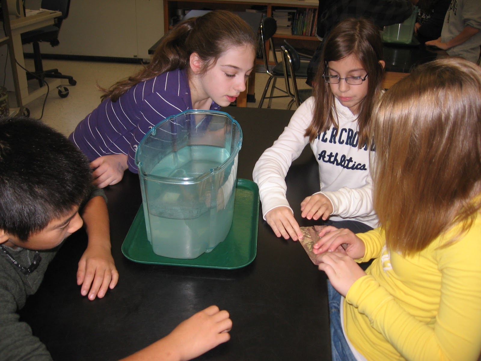 Mr. Williams 6th Grade Science Blog: Sink, Float, and Density