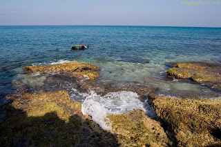 Seif, Himself and the "other" Lebanon: Lebanese area of the week