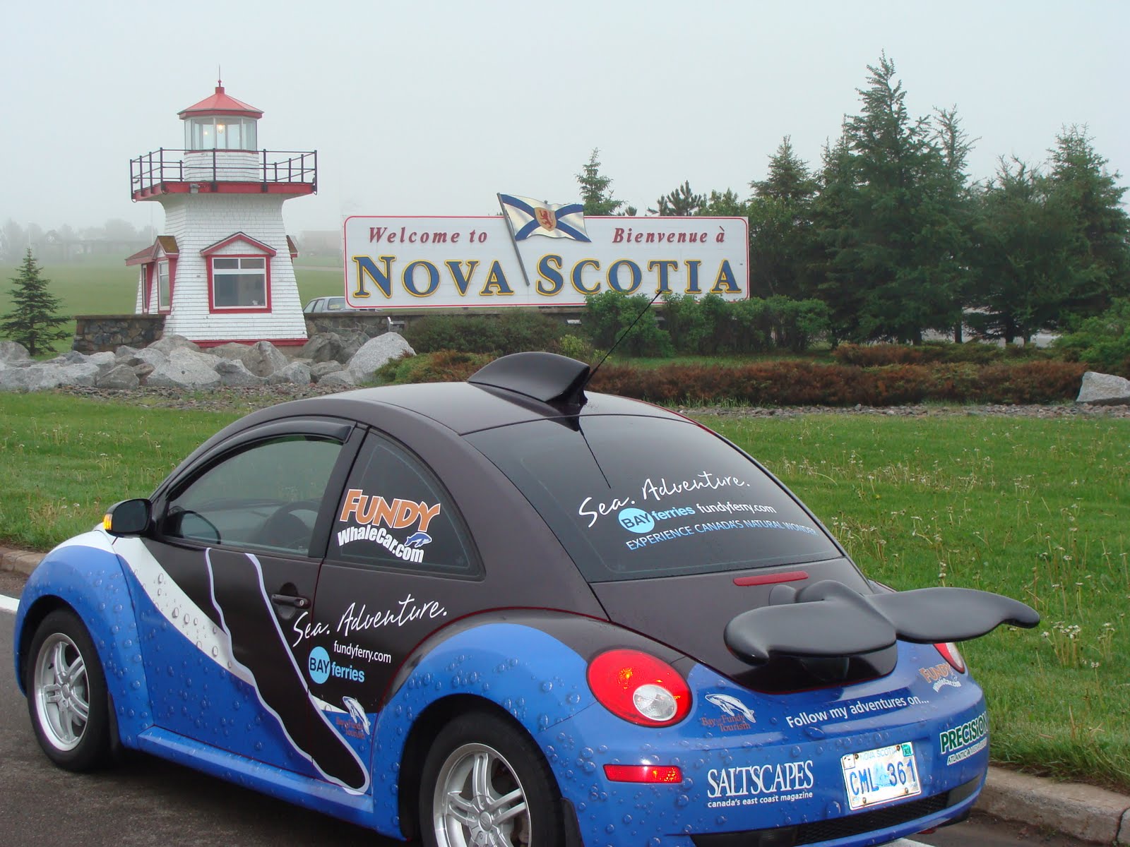 Bay of Fundy Blog: Whale car revealed!