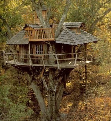 Amazing Images Blog: Amazon Tree Houses, Beautiful