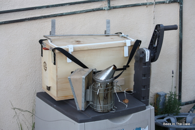 The Buzz In The Dale: A Bee-ful Christmas