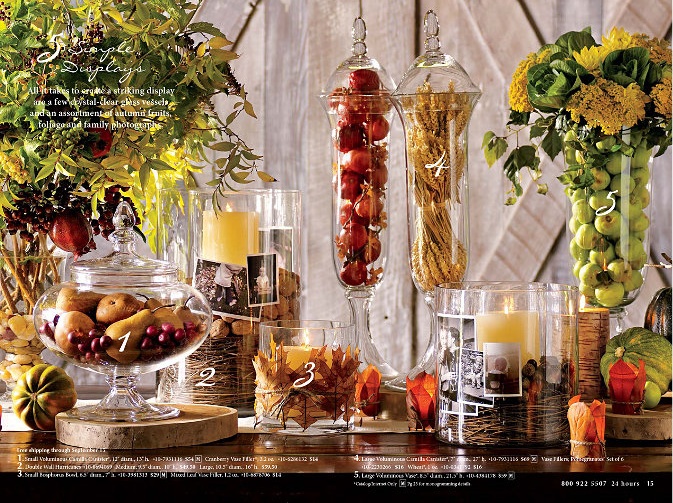 Buckhead Betty ... on a Budget: November 2010