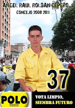 ANGEL RAUL ROLDAN CEPERO AL CONCEJO DE PALMIRA 2008-2011 POLO DEMOCRATICO