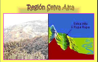 Las Ocho Regiones Naturales del Perú: REGION SELVA ALTA O RUPA RUPA