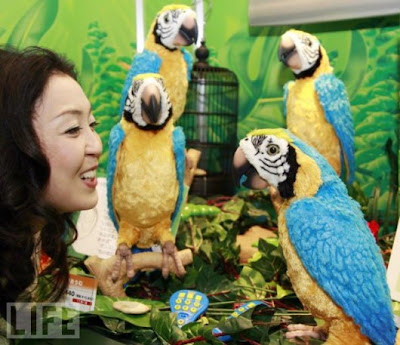 Pictures Gallery: Cool Robotic Animals