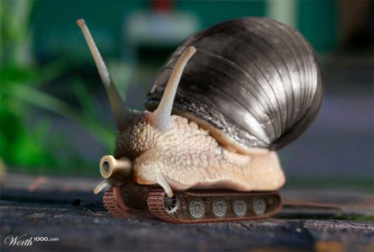 Pictures Gallery: Cool Robotic Animals