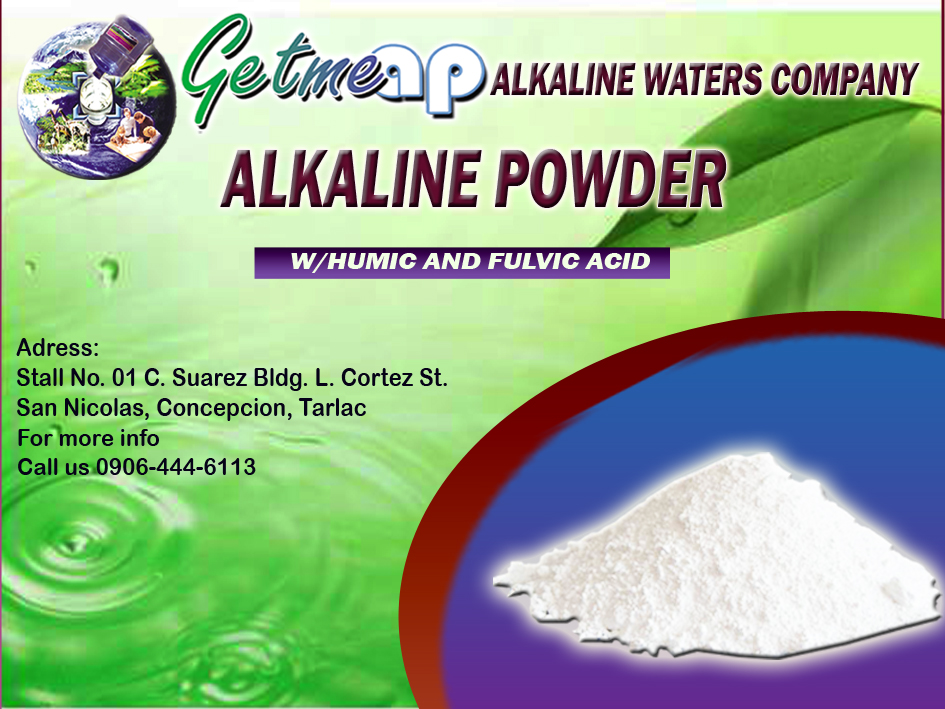 GETME AP ALKALINE COMPANY: November 2010