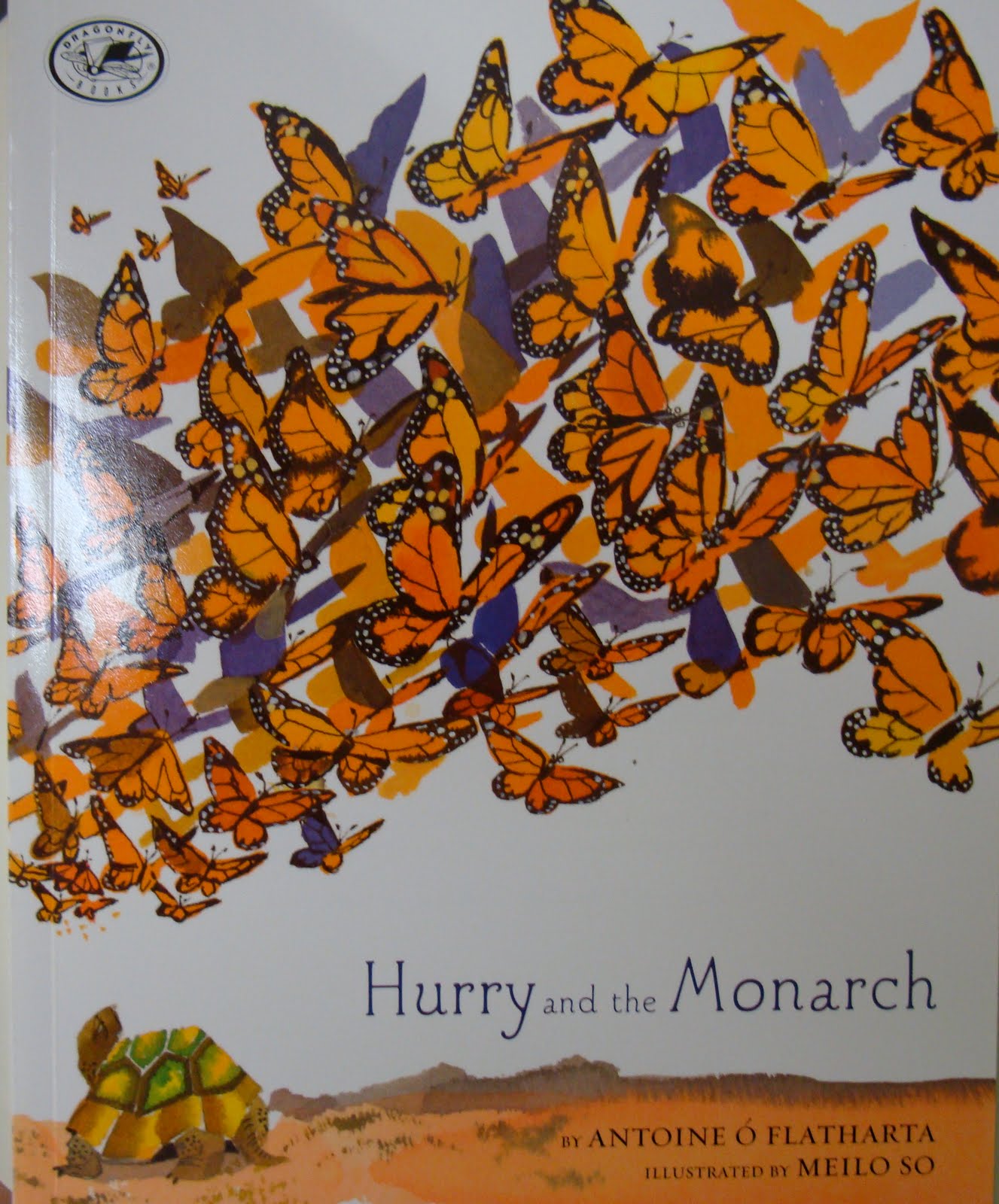 Picturebooks Everyday: Hurry and the Monarch