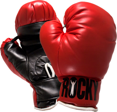 Boxing Gloves - Name Of Sport