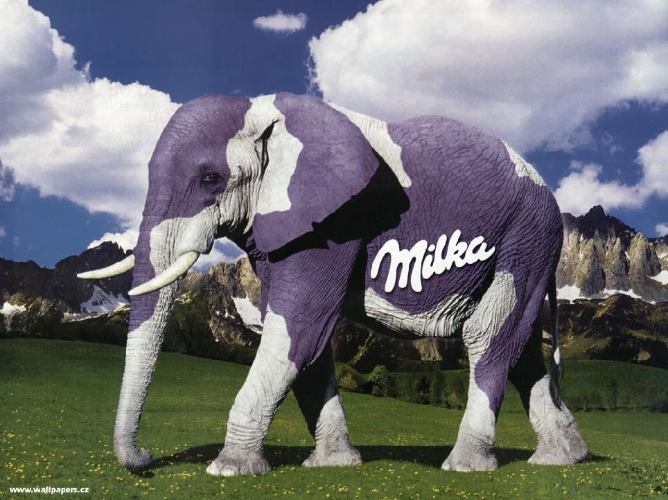 Blogul Funny: Poze Funny