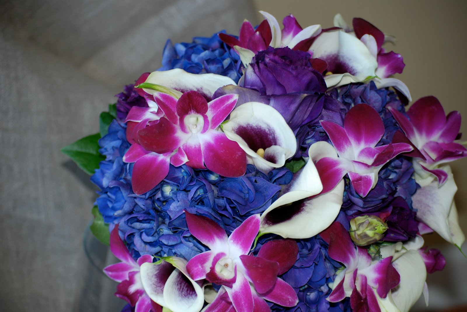 Found this horrifying moth, what is it? : r/whatsthisbug