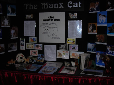 Manx at Meet the Breeds Show, NYC - North American Manx Association