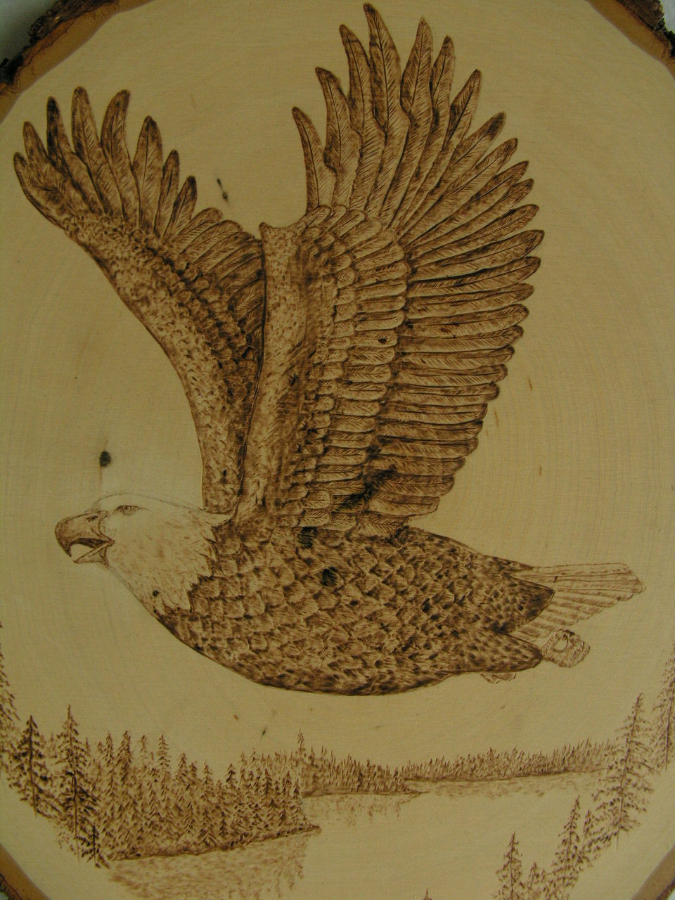 Sweetapple Studios: Pyrographic Pieces