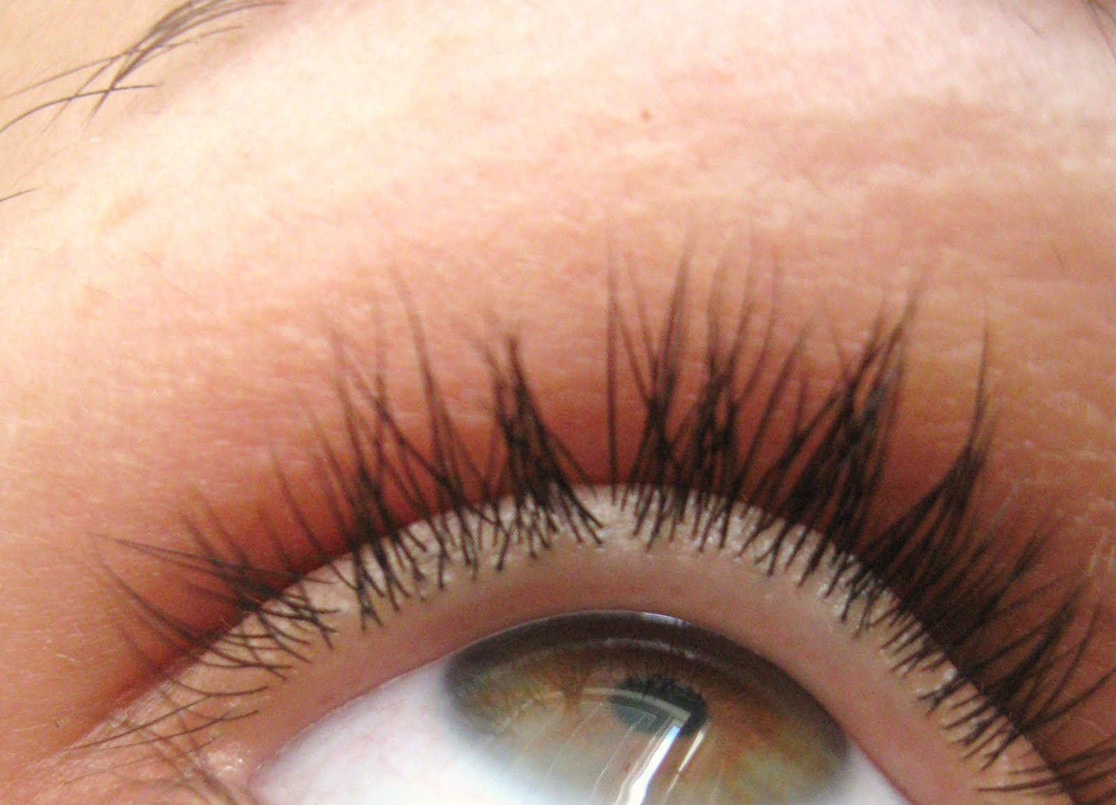 Marie's Powder Room: Update on the lashes-week 1