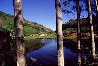 Nós da Net Turismo: Domingo Martins, Pedra Azul e Venda Nova do ...