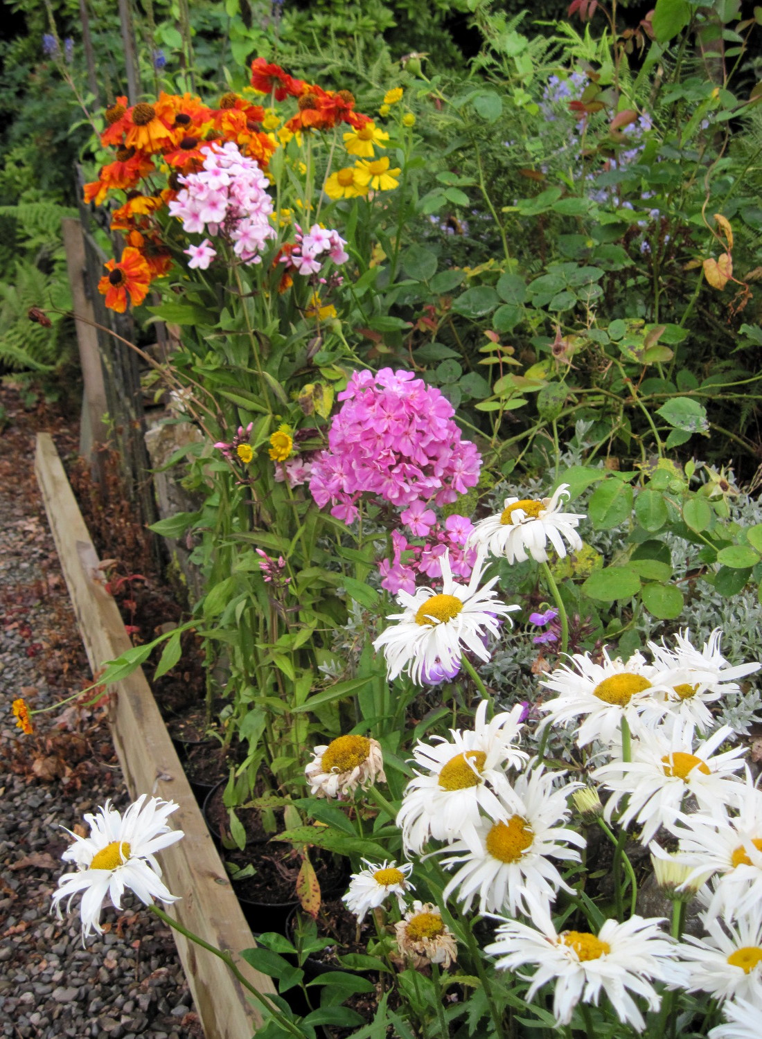 Flutterby Patch: Bright and beautiful