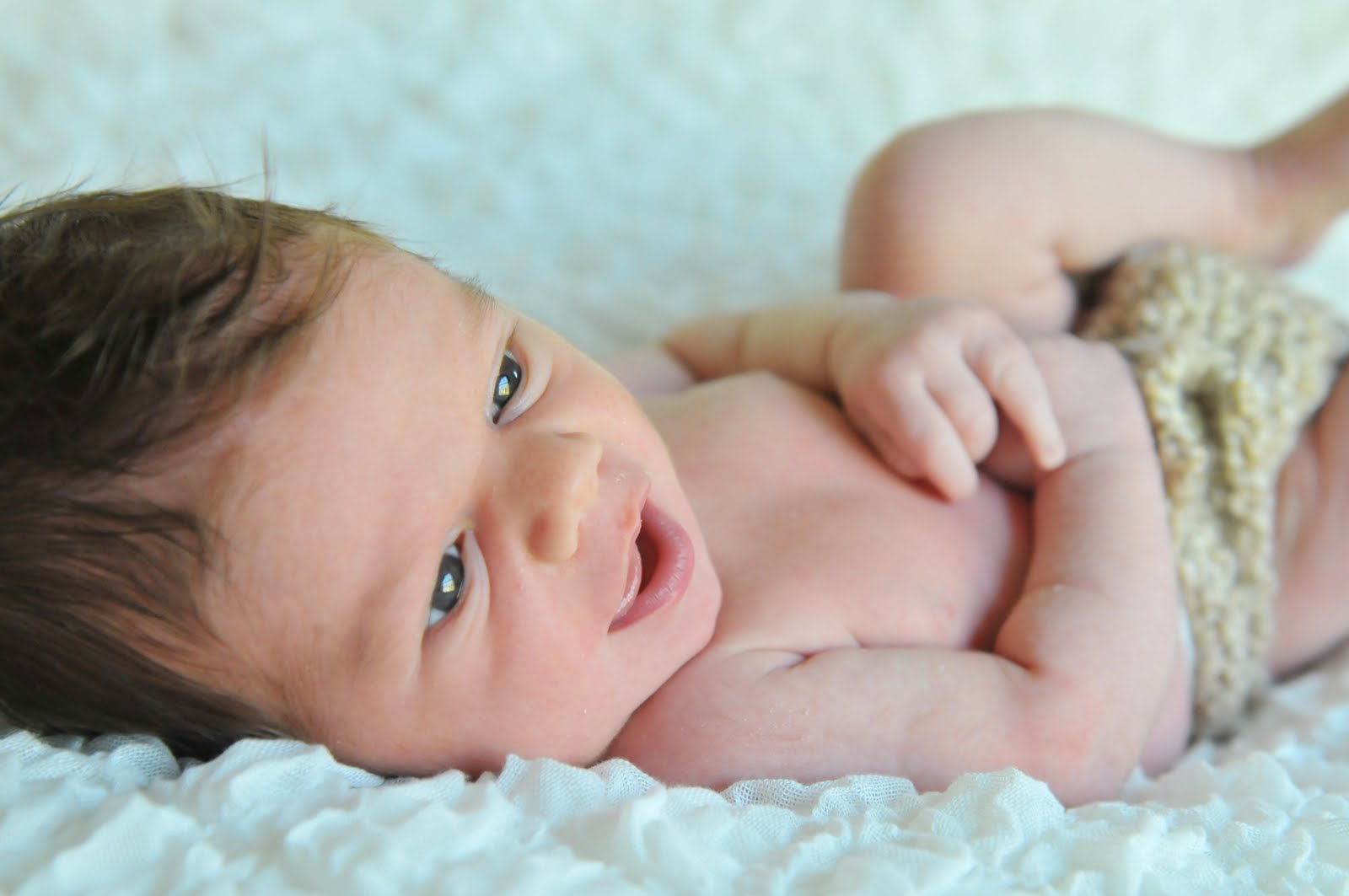 Studio B Photography: Baby Boy, Newborn Photographer