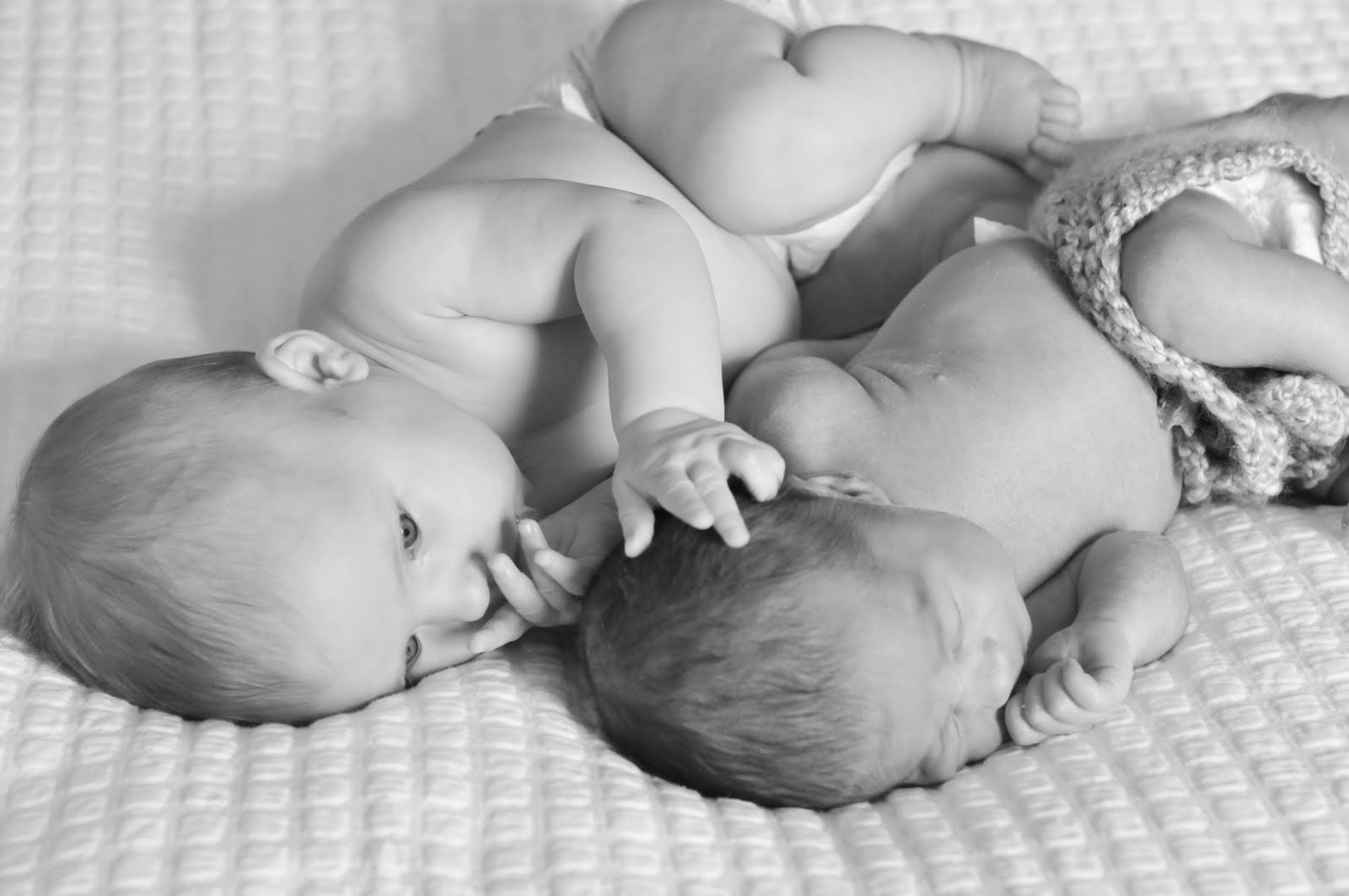 Studio B Photography: Baby Boy H, Destination Newborn Photographer