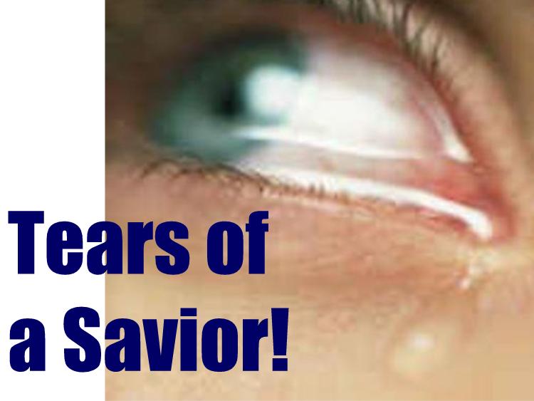 "To God be the glory" Devotional: Friday, June 11: Tears of a Savior