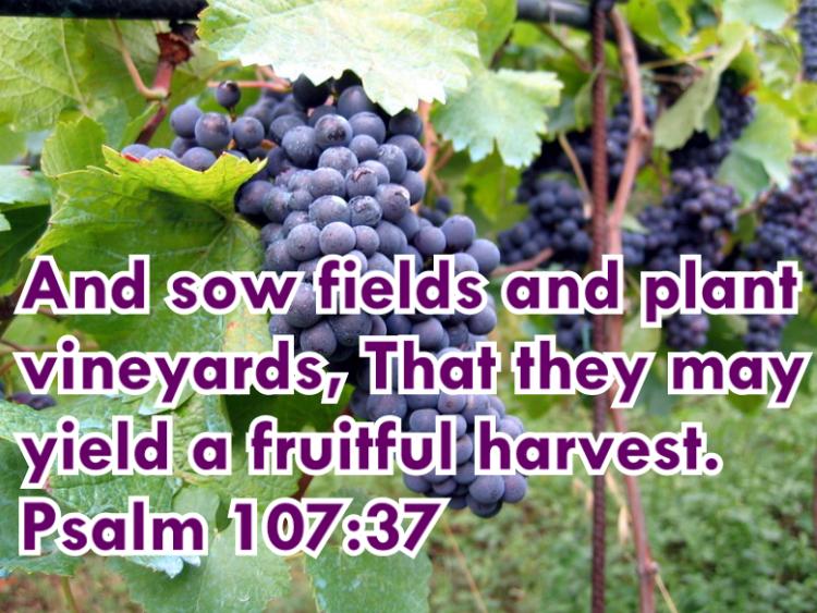 To God Be The Glory Devotional Wednesday January 12 Eleven To God Be The Glory Devotional Wednesday January 12 Eleven