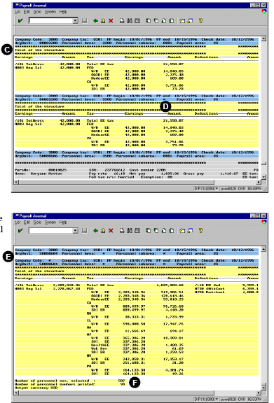 SAP ABAP Human Resource Payroll Journal Report - SAP ABAP