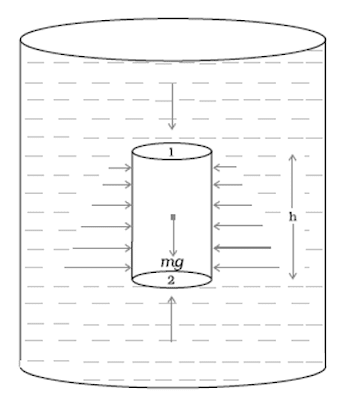 Physics Complete: Variation of Pressure with Depth