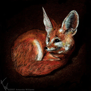 LA CIENCIA DE LA VIDA: ARTE & ZOOLOGÍA (II). FENECO