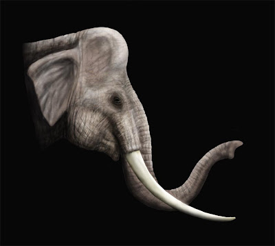 LA CIENCIA DE LA VIDA: PALEOARTE DE VILLE SINKKONEN