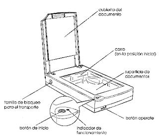 Mantenimiento preventivo y correctivo de impresora: PARTES DEL ESCANER
