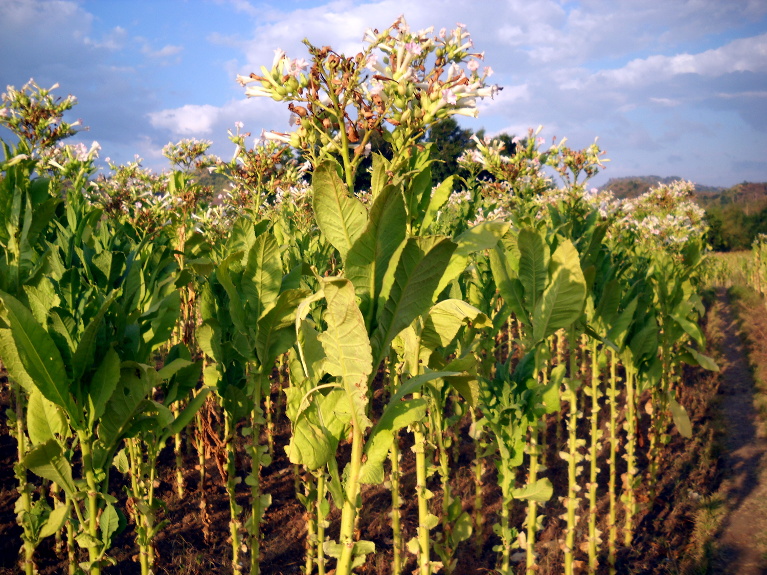 Passion saves soul: October 2010