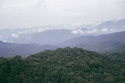 Anshi National Park - JungleKey.fr Wiki