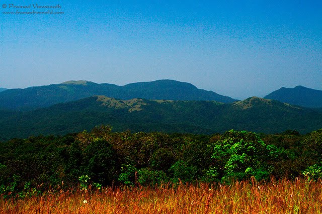 smart boy: Anshi National Park