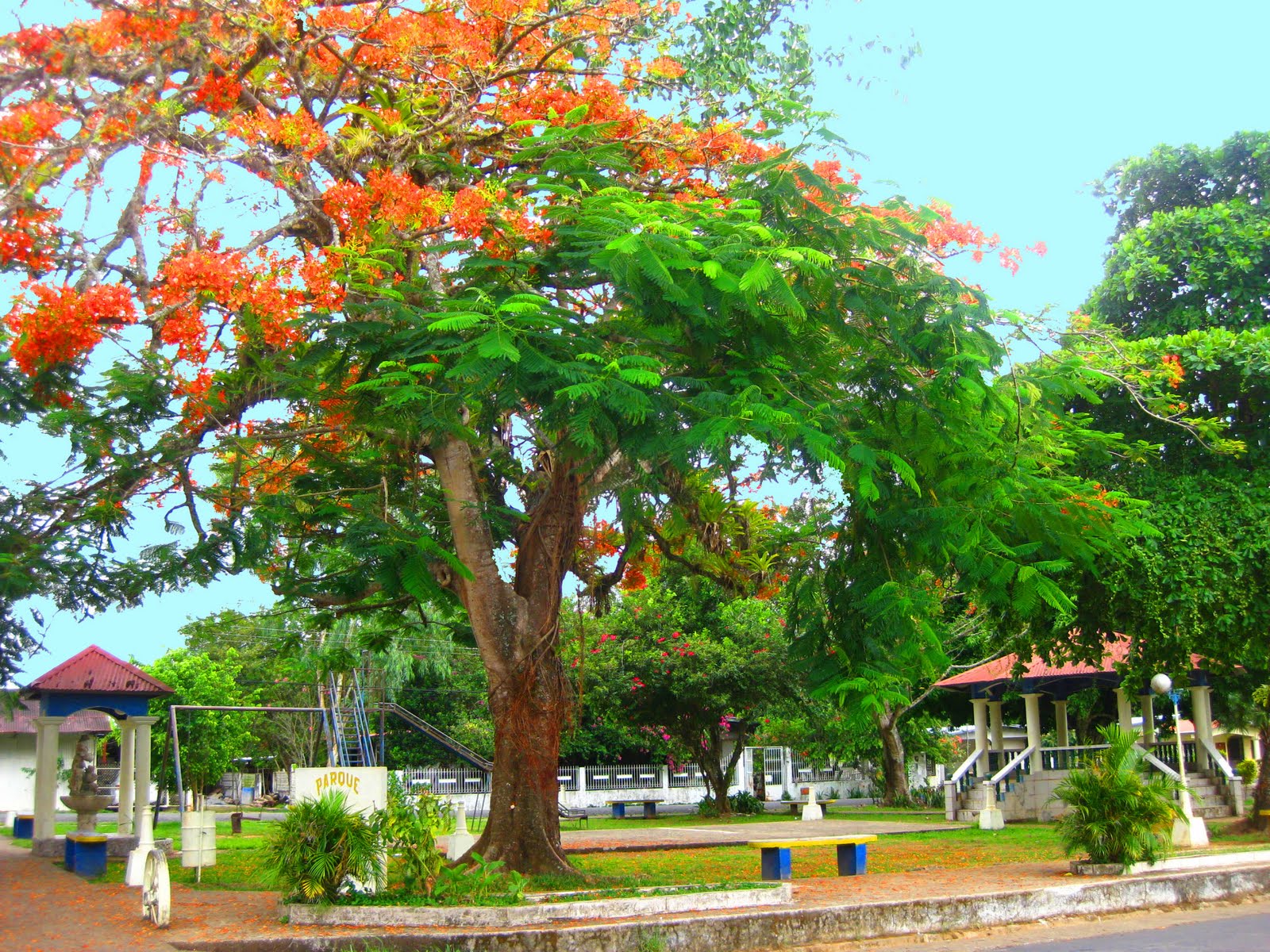 - Sail away from the safe harbor. Explore. Dream. Discover.: A Day In ...