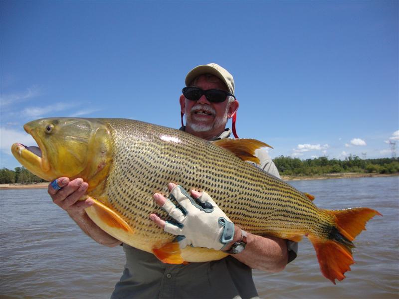 THE FISHING NEWS: MONSTER DORADO LANDED AT LA ZONA