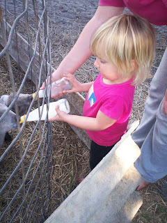 Juddanah Marlee Mills