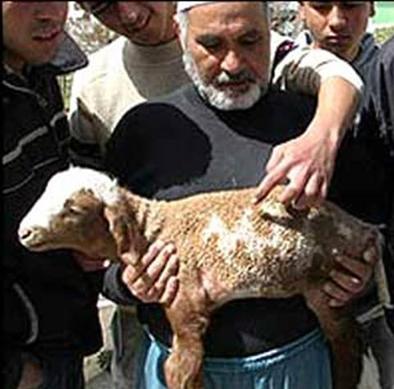 Amazing Islamic Miracles Pictures - Articles about Islam