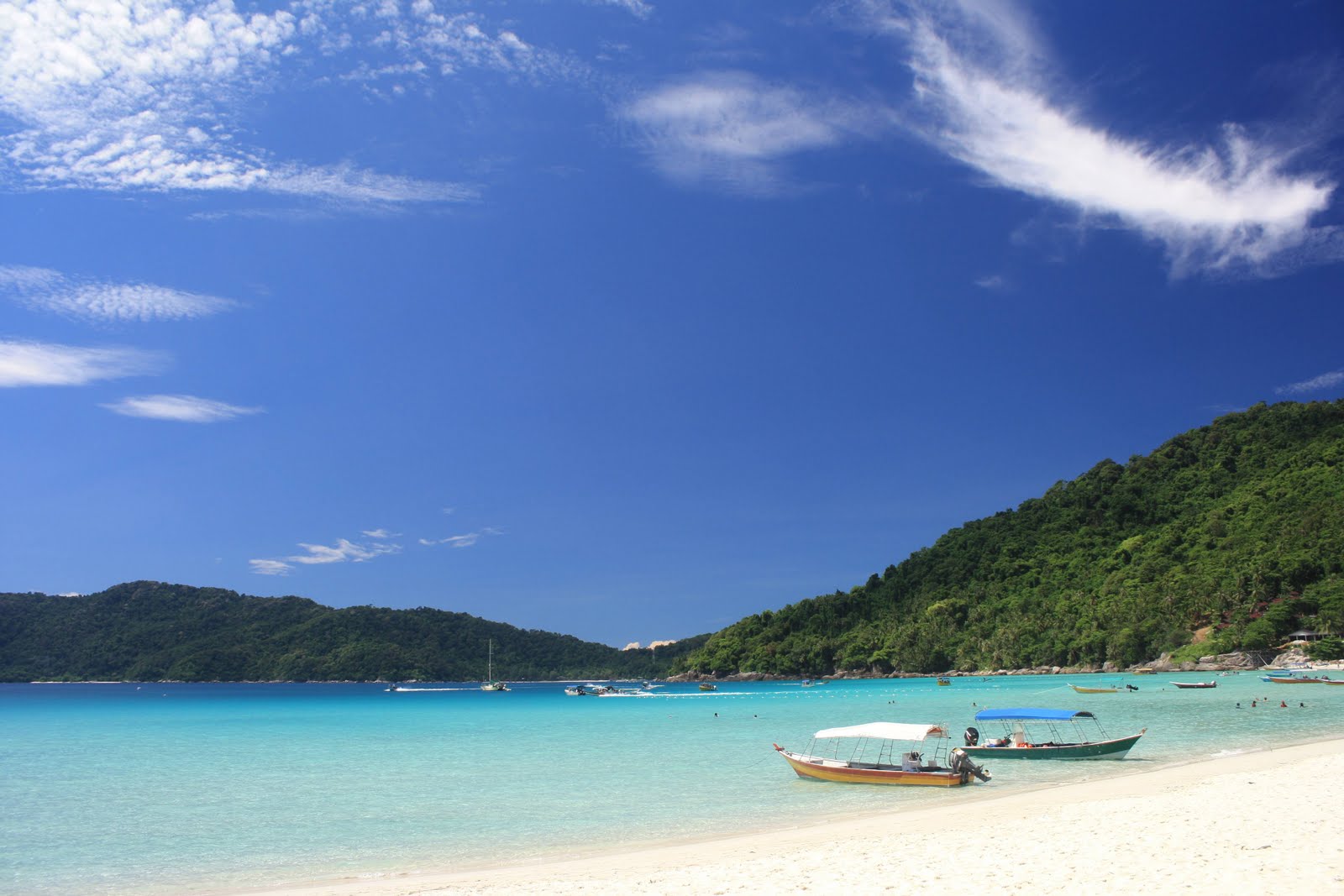 Ar galima visa tai palikti savo noru? Meilės trikampis ir Amigo ...