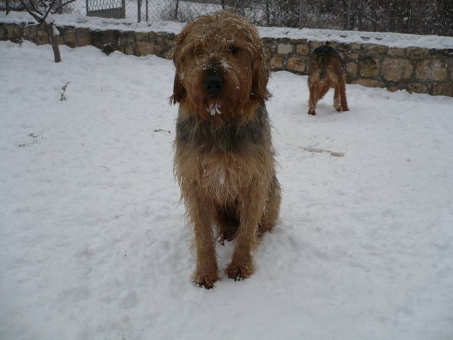 BOSANSKI BARAK VO MAKEDONIJA