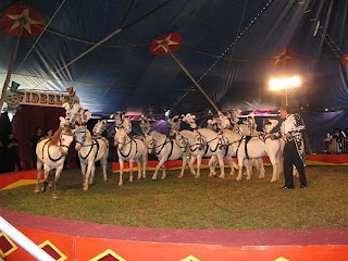 The Circus "NO SPIN ZONE": Myself, Ian Garden Sr., and Col. John Herriott