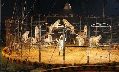 The Circus "NO SPIN ZONE": Court's influence is still around decades later.