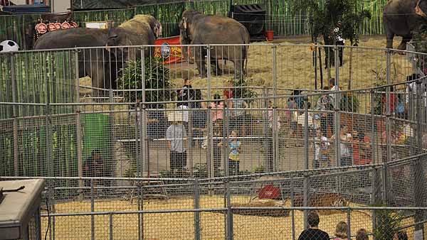 The Circus "NO SPIN ZONE": The Ringling Bros. and Barnum & Bailey ...