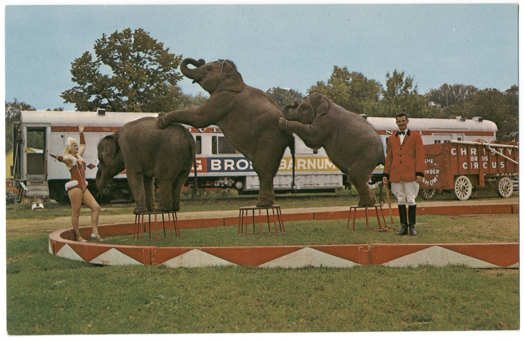 The Circus "NO SPIN ZONE": 10/22/10