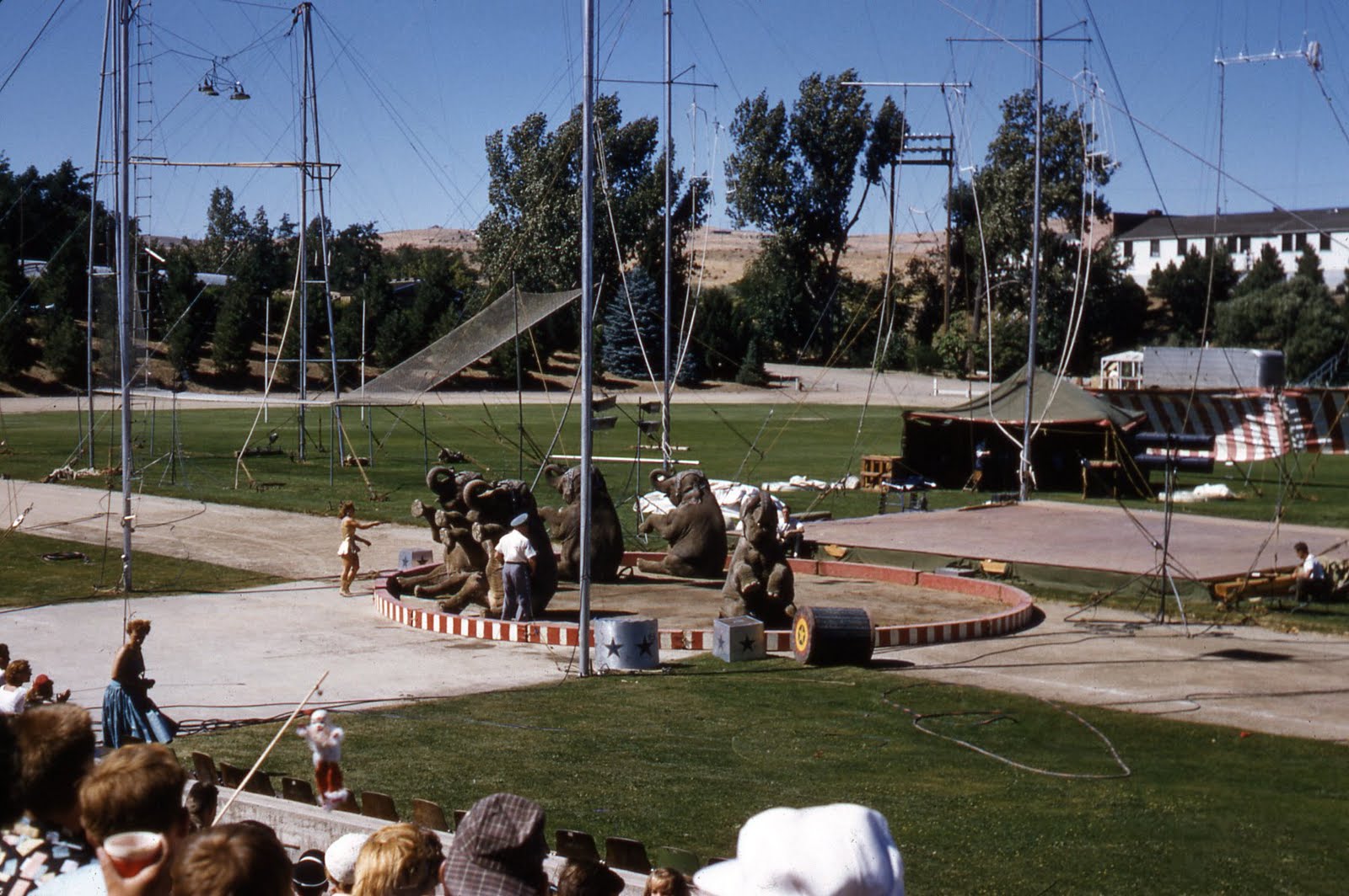 The Circus "NO SPIN ZONE": Mack and Peggy MacDonald--Stead AFB Reno ...