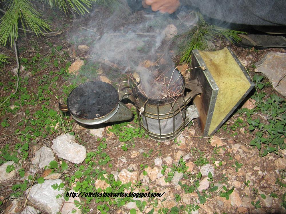 Ο τρελος του χωριου: Το τσίμπημα της μέλισσας..