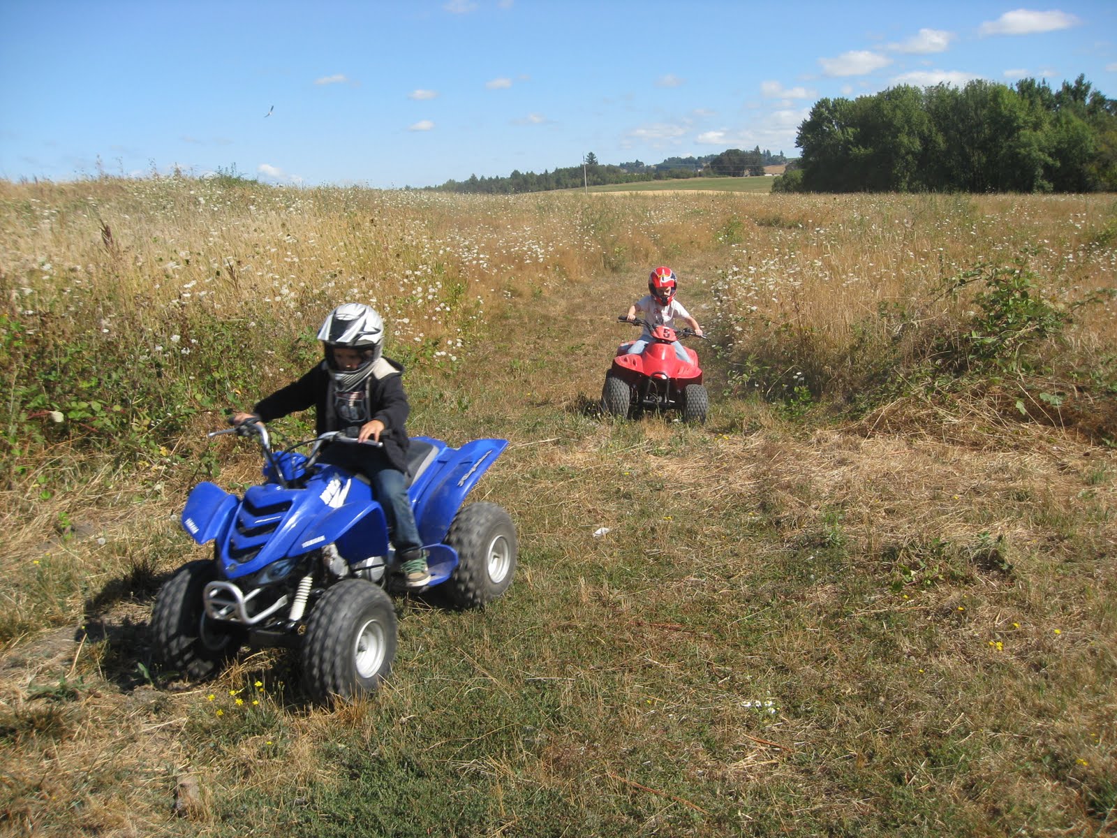 All Things Ryan: Four Wheelers and Four Year Olds