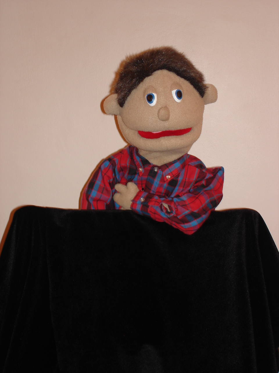 The Pemberley Parlor: Passionate About Puppets